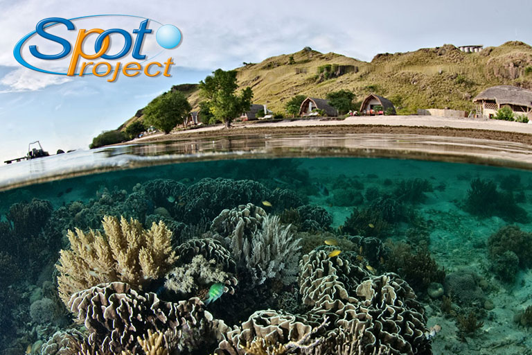 Home | La Compagnia del Mar Rosso