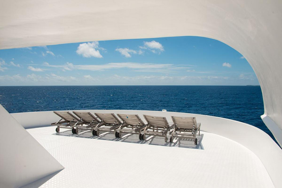 Emperor Virgo | La Compagnia del Mar Rosso