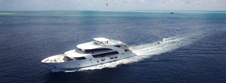 Carpe Novo | La Compagnia del Mar Rosso