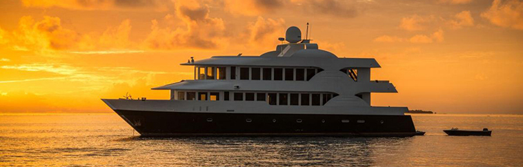 Emperor Virgo | La Compagnia del Mar Rosso