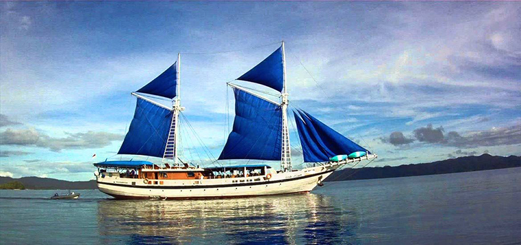 Indo Siren | La Compagnia del Mar Rosso