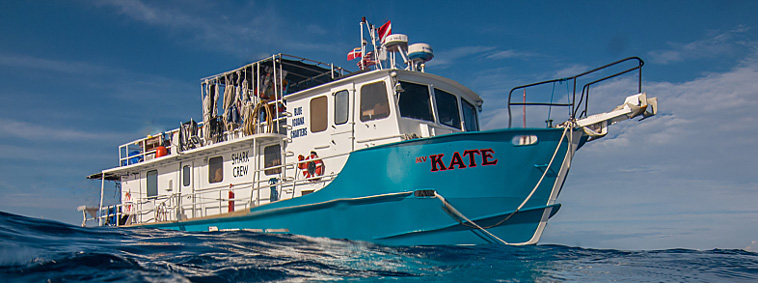 MV Kate | La Compagnia del Mar Rosso