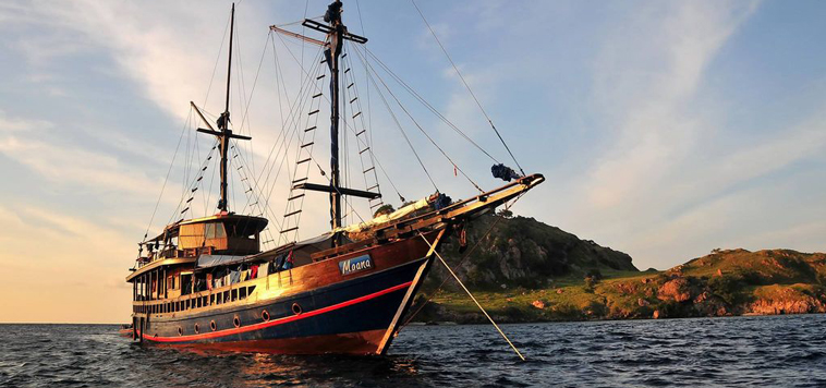 Moana | La Compagnia del Mar Rosso