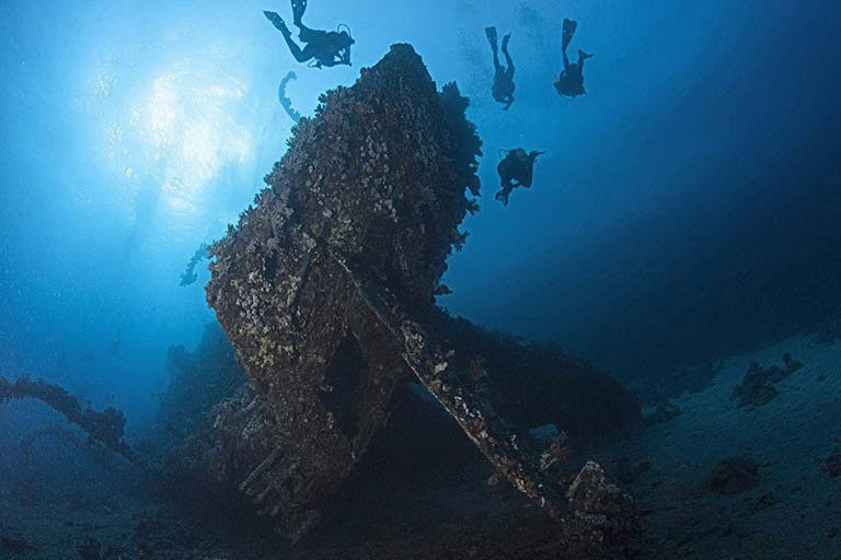 Home | La Compagnia del Mar Rosso